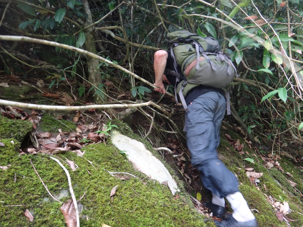 Ultimate Jungle Survival Trek in Borneo – lostborneo travel blog
