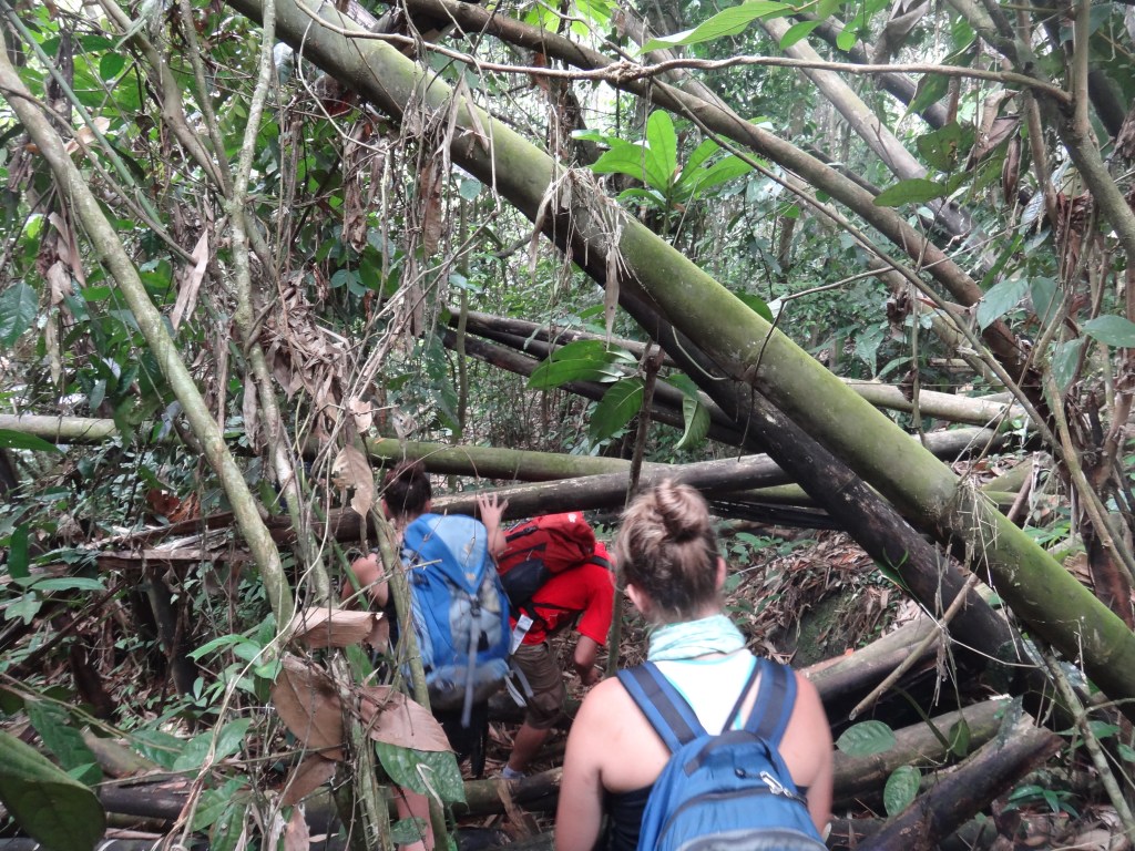 Ultimate Jungle Survival Trek in Borneo – lostborneo travel blog