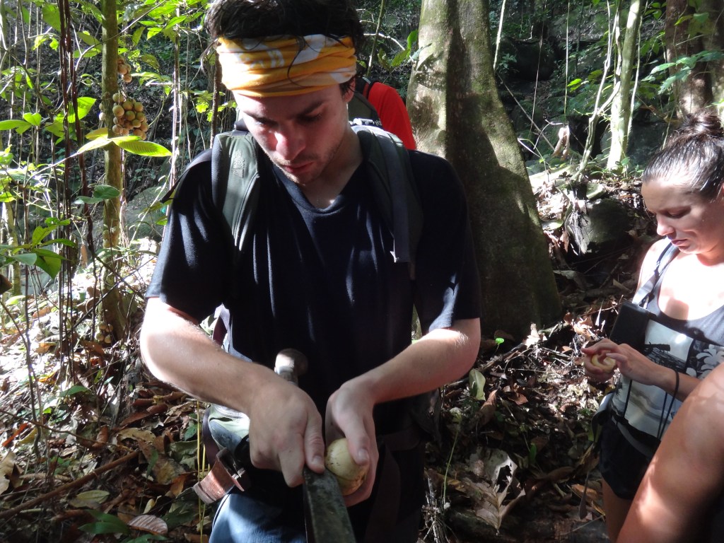 Ultimate Jungle Survival Trek in Borneo – lostborneo travel blog