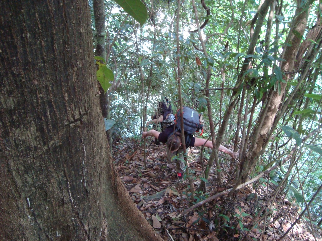 Ultimate Jungle Survival Trek in Borneo – lostborneo travel blog