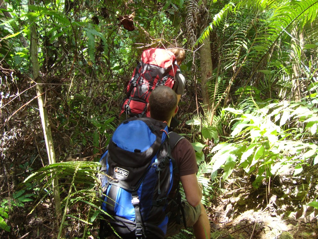 Ultimate Jungle Survival Trek in Borneo – lostborneo travel blog