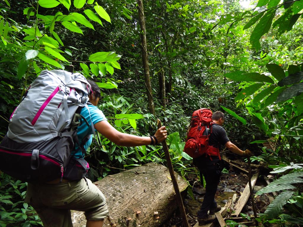 Ultimate Jungle Survival Trek in Borneo – lostborneo travel blog